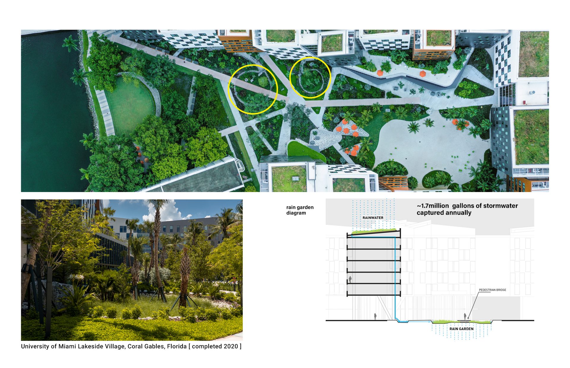 Resilient Landscape Design - ArquitectonicaGEO